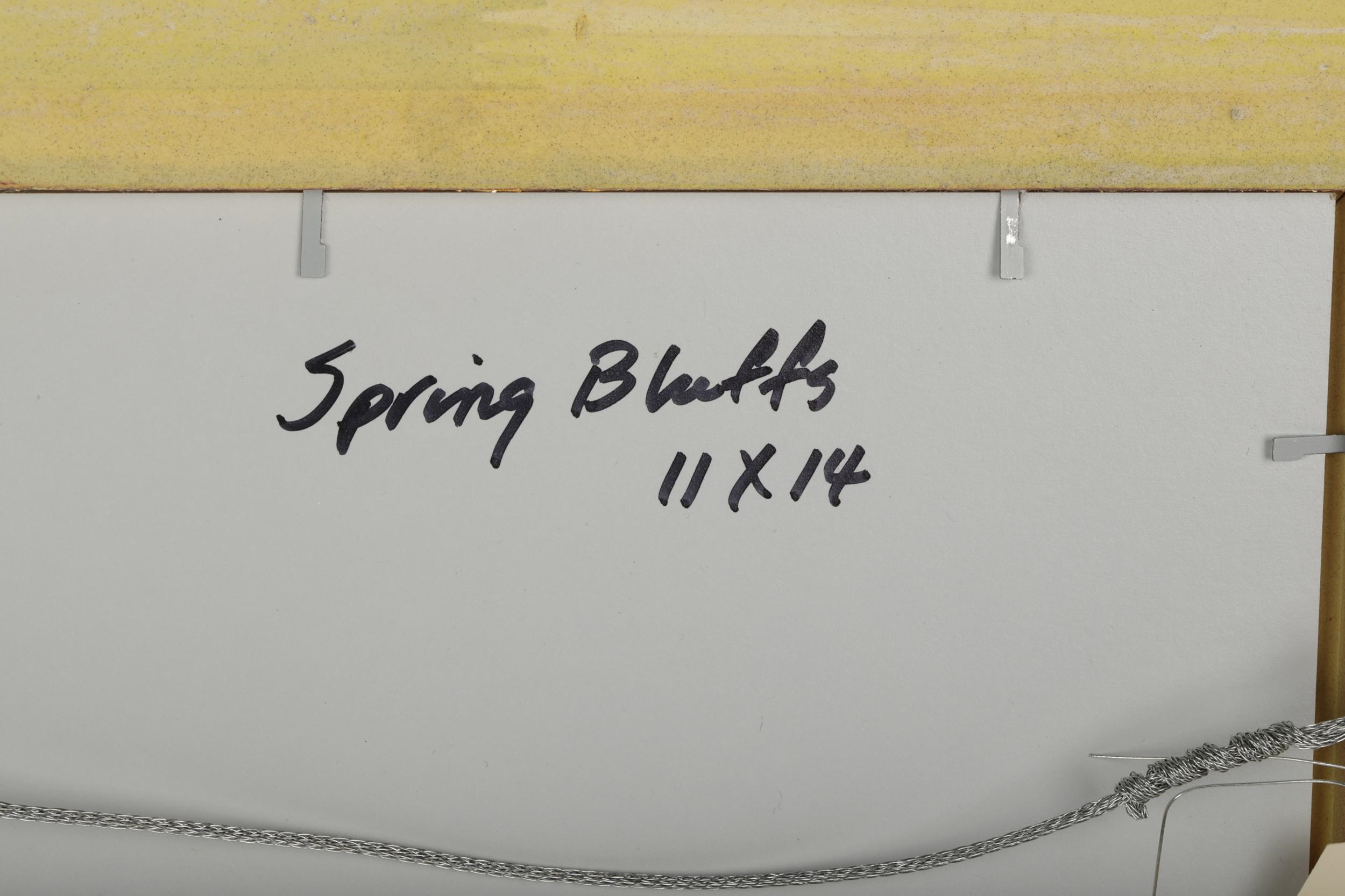 David Chapple | DAVID CHAPPLE : SPRING BLUFFS | MutualArt