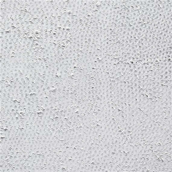 Yayoi Kusama | Untitled (Nets) (1959) | MutualArt