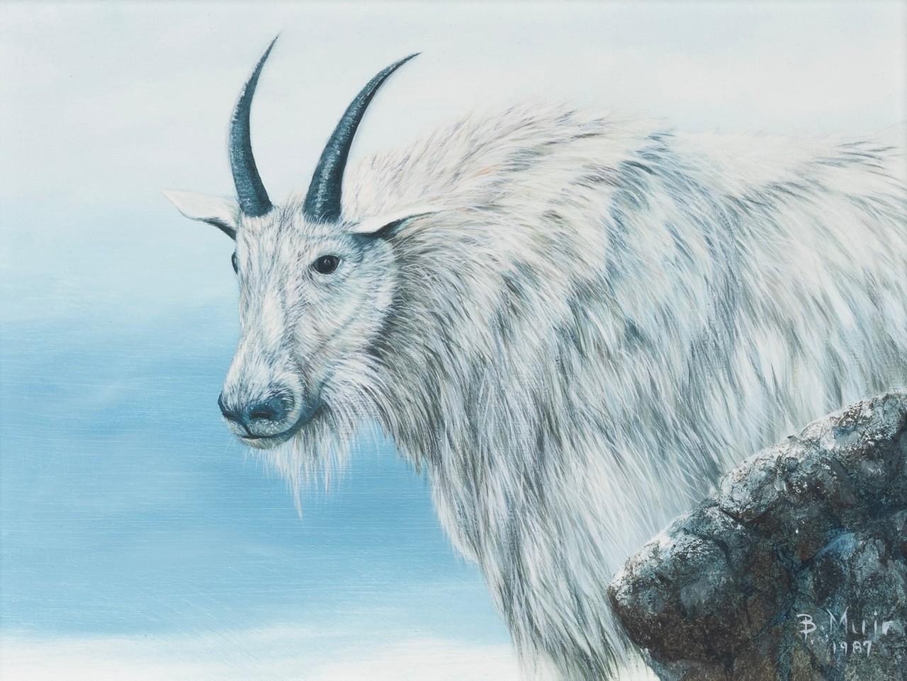 Bruce Muir | mountain goat | MutualArt