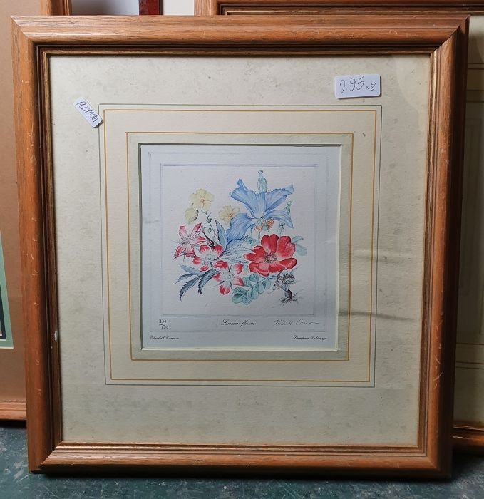 Giorgio Bonelli | After Giorgio Bonelli Hand coloured etching Bignonia ...