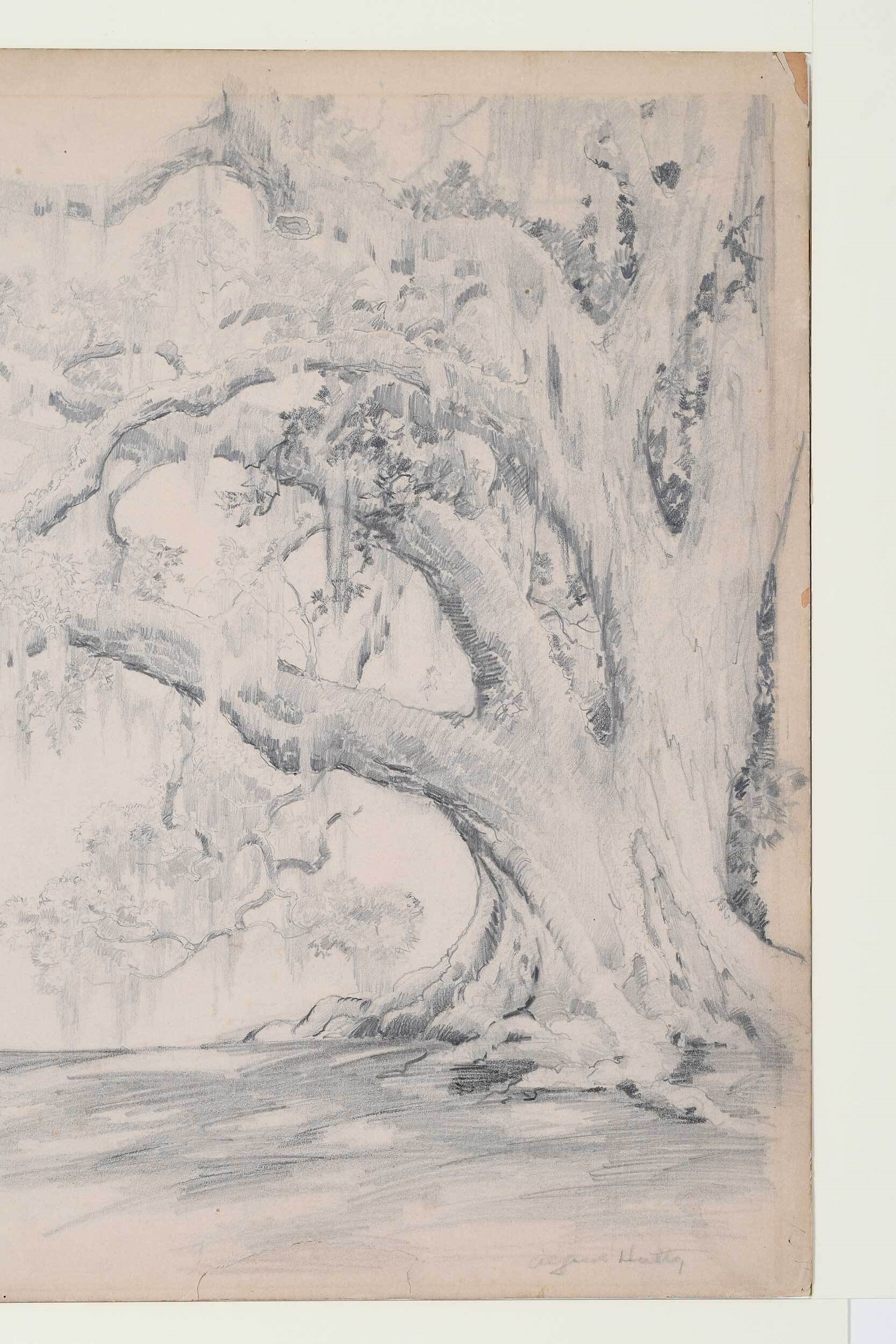 Alfred Heber Hutty | The Patriarch of Middleton Gardens | MutualArt