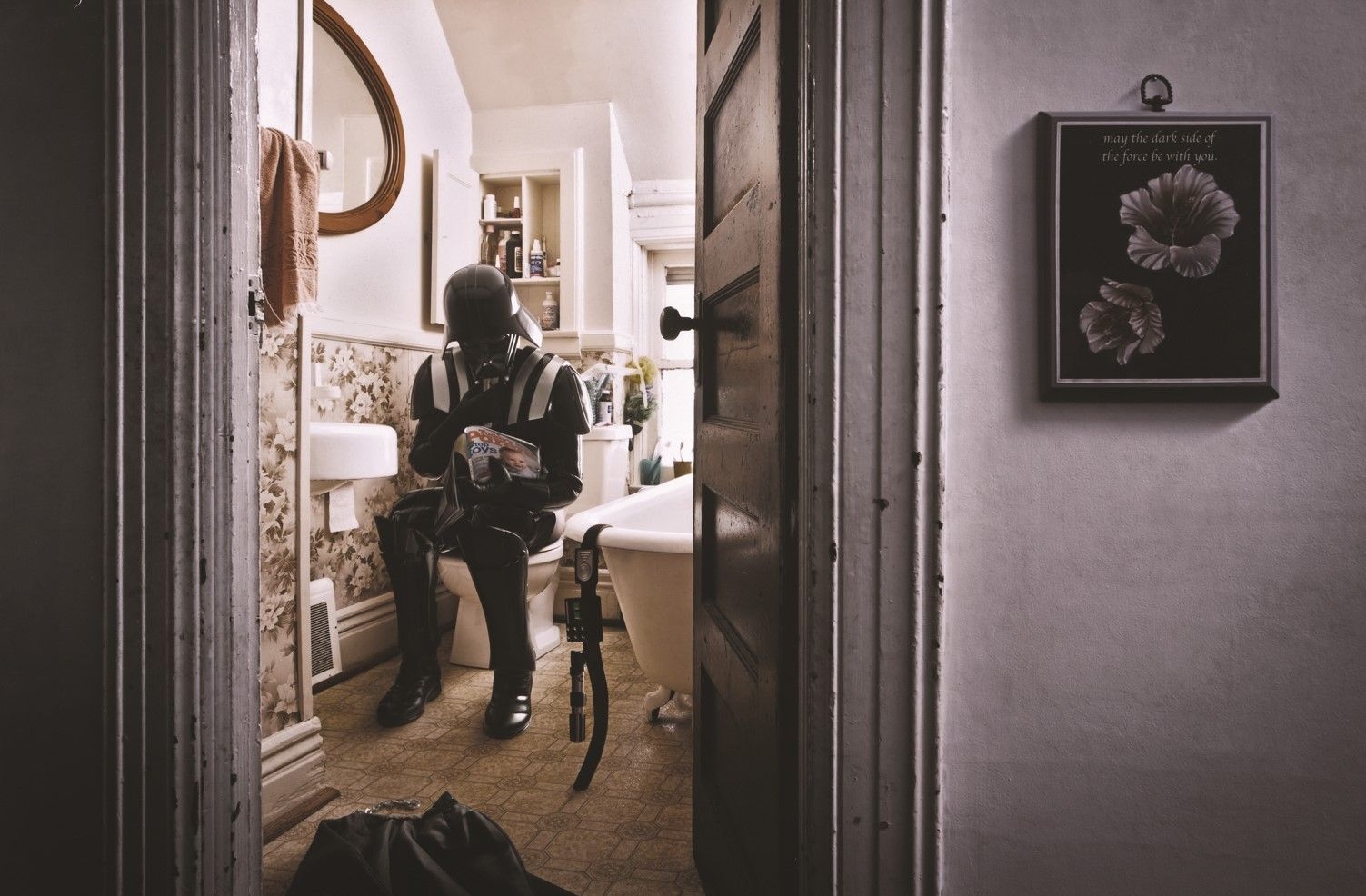 Ian Pool | Darth Vader | MutualArt