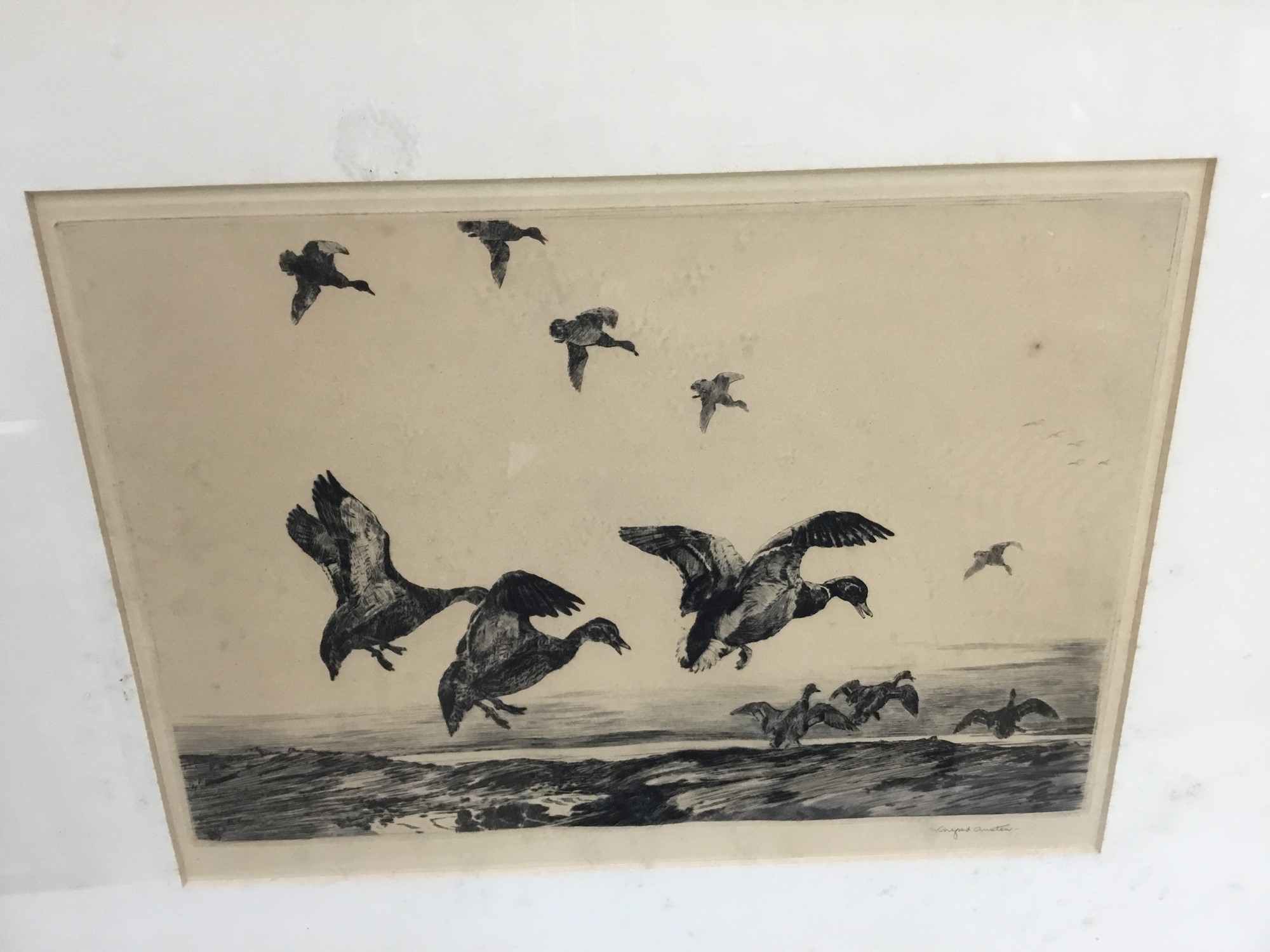 Winifred Austen | The first shot | MutualArt