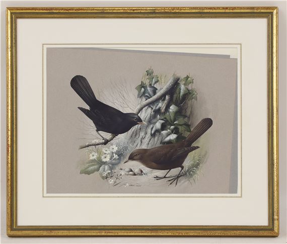 Raymond C. Watson | Male and female blackbirds | MutualArt