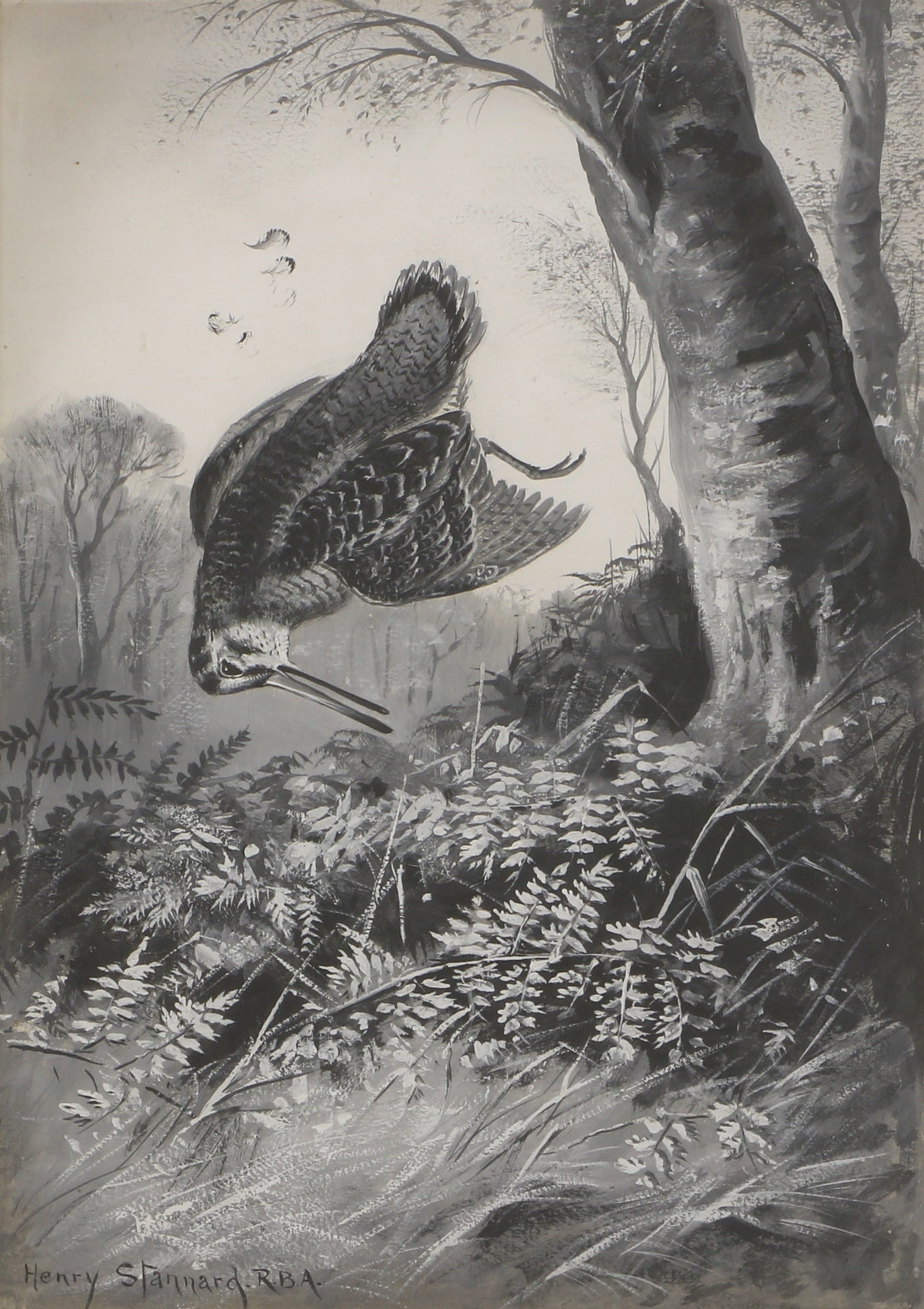 Henry Stannard | Falling woodcock | MutualArt