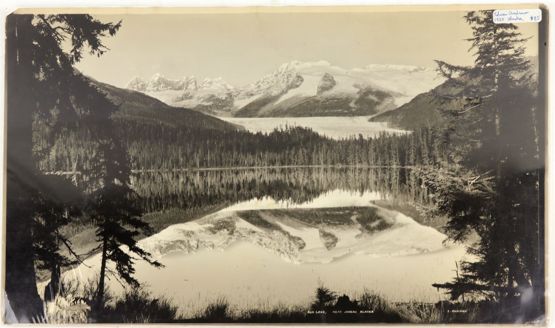 Ed Andrews | Old Alaska Photograph of Auk Lake & Mendenhall Glacier ...