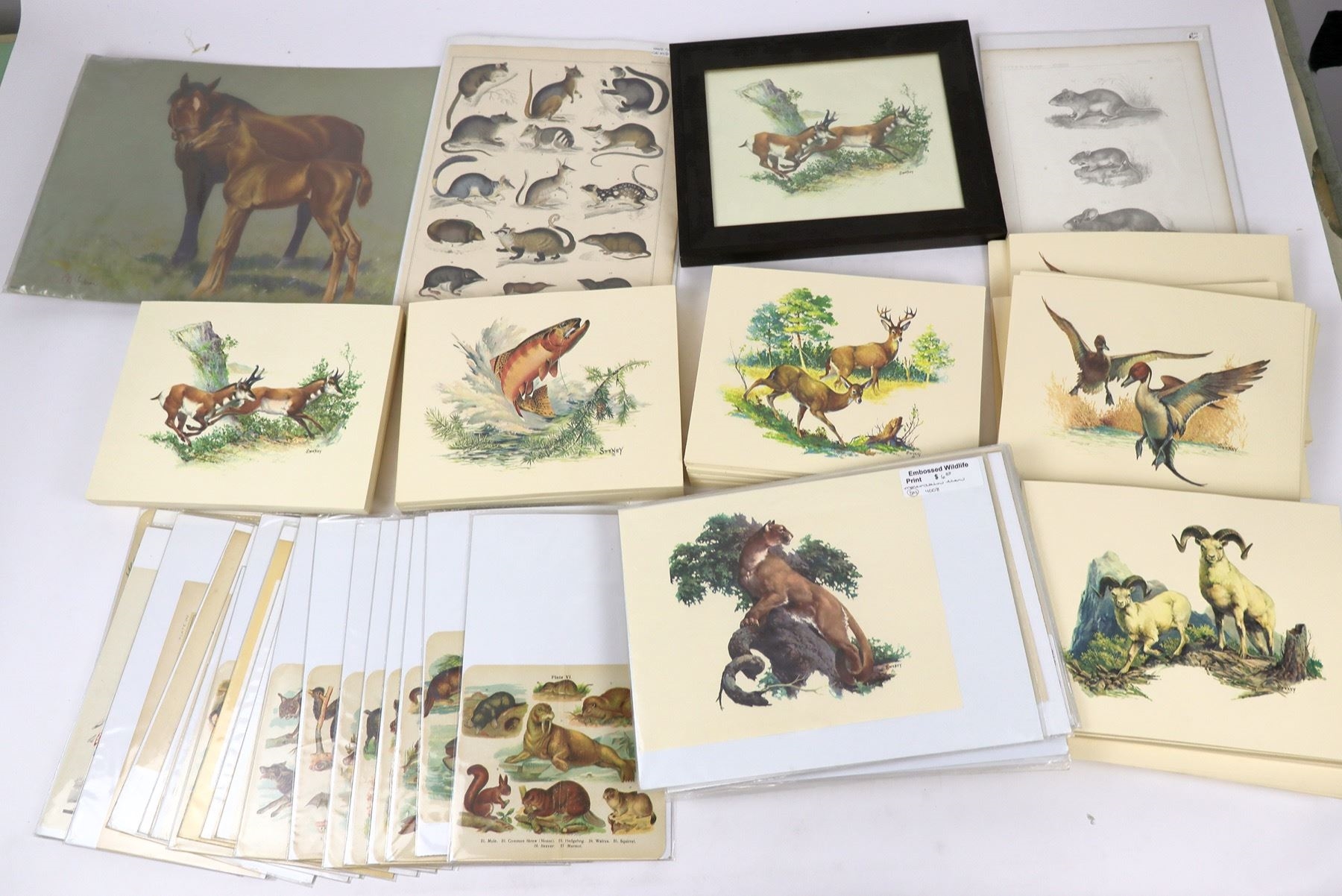 Fred Sweney | Animal Prints | MutualArt