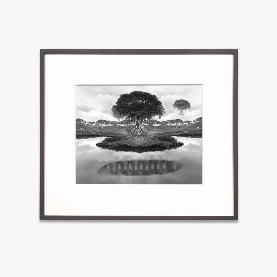Jerry Uelsmann | Untitled (floating trees) (1969) | MutualArt