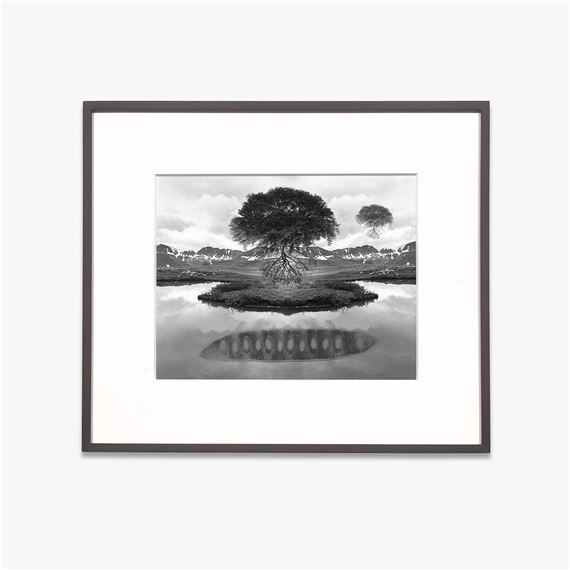 Jerry Uelsmann | Untitled (floating trees) (1969) | MutualArt