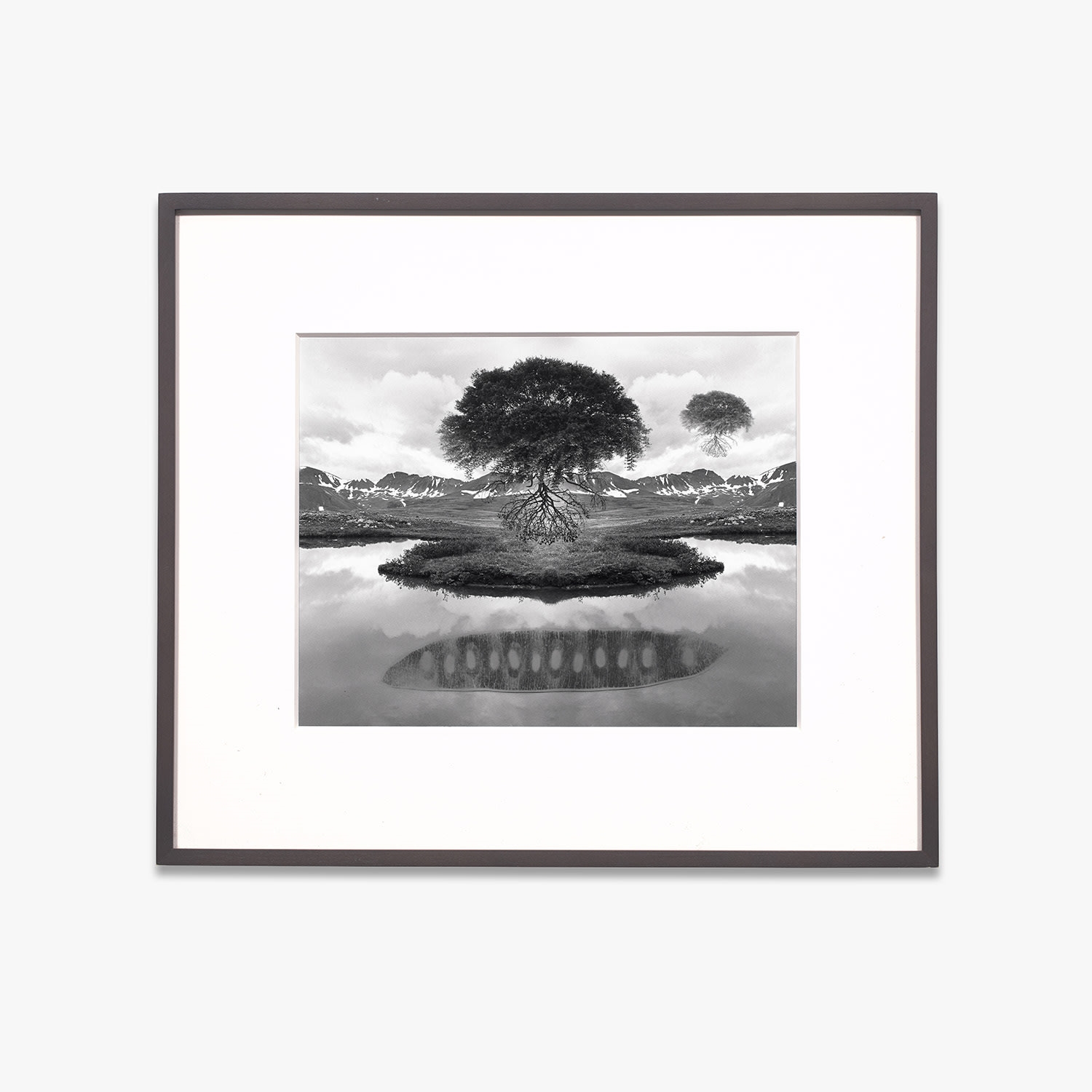 Jerry Uelsmann | Untitled (floating trees) (1969) | MutualArt