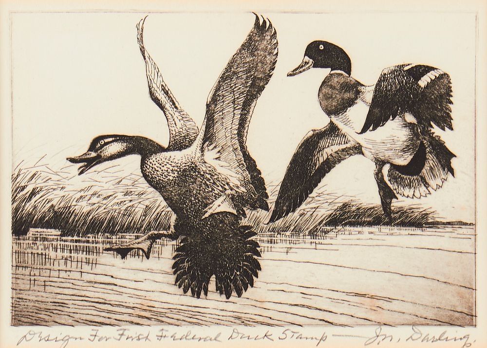 Jay Norwood Darling | Jay Norwood Darling First Federal Duck Stamp ...