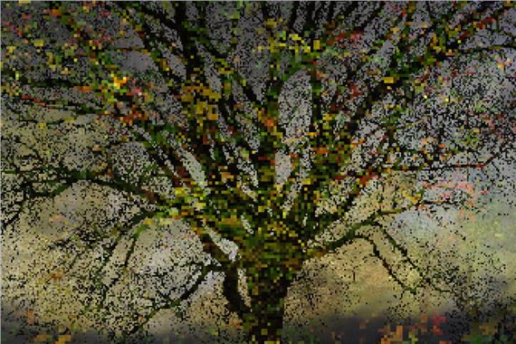 David Reinfeld | Biography