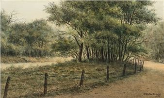 Butler Brown | 14 Artworks at Auction | MutualArt