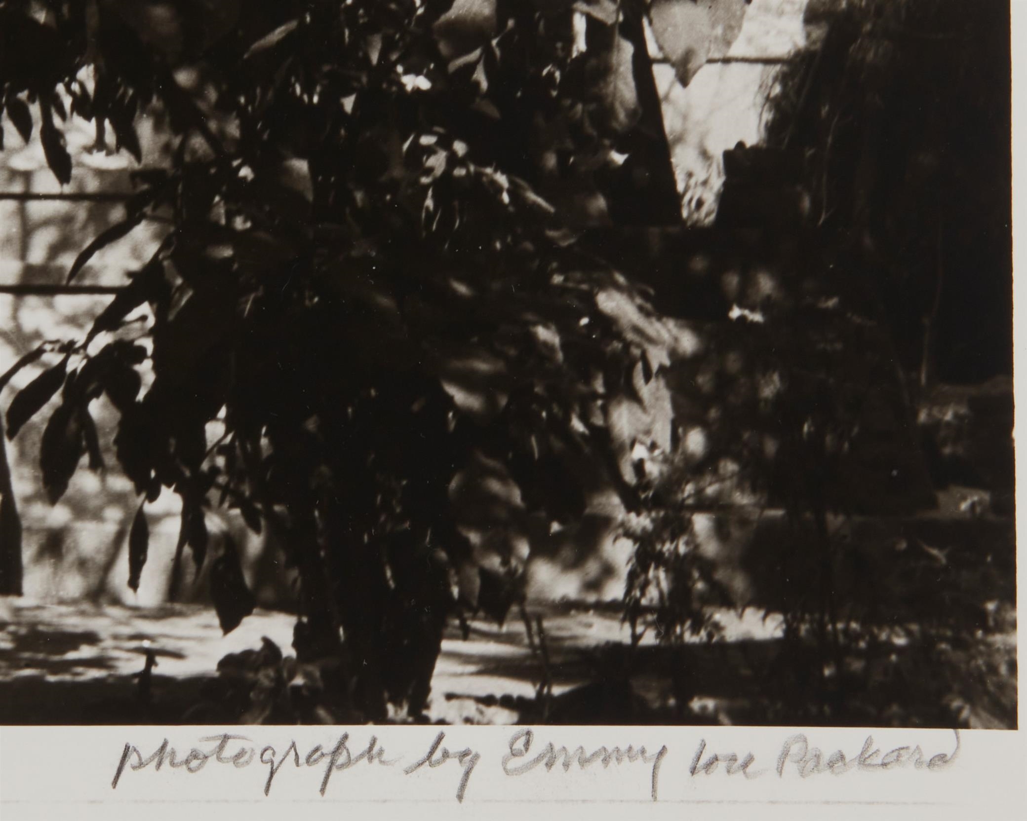 Emmy Lou Packard | Diego Rivera on the pyramid he had built in Coyoacan ...
