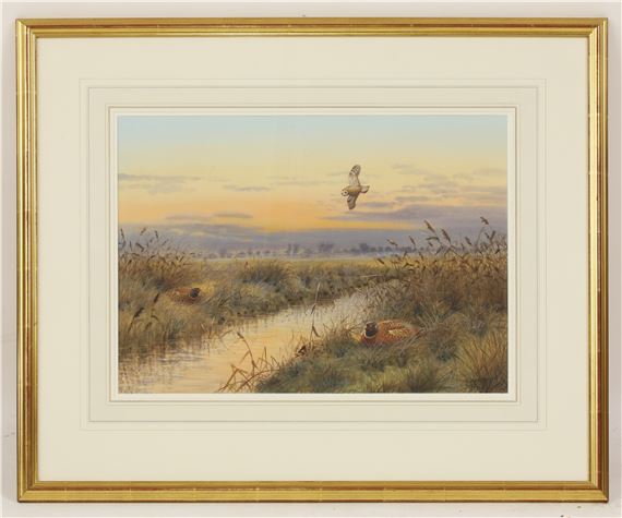 Richard Robjent | Pheasants in wetlands an owl overhead | MutualArt