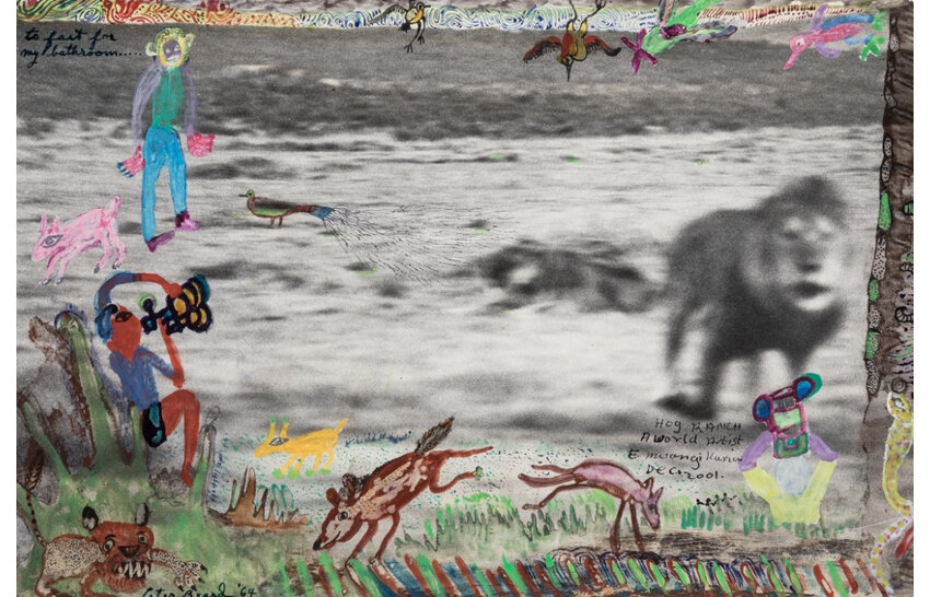 Peter Beard | Lolindo Lion Charge | MutualArt