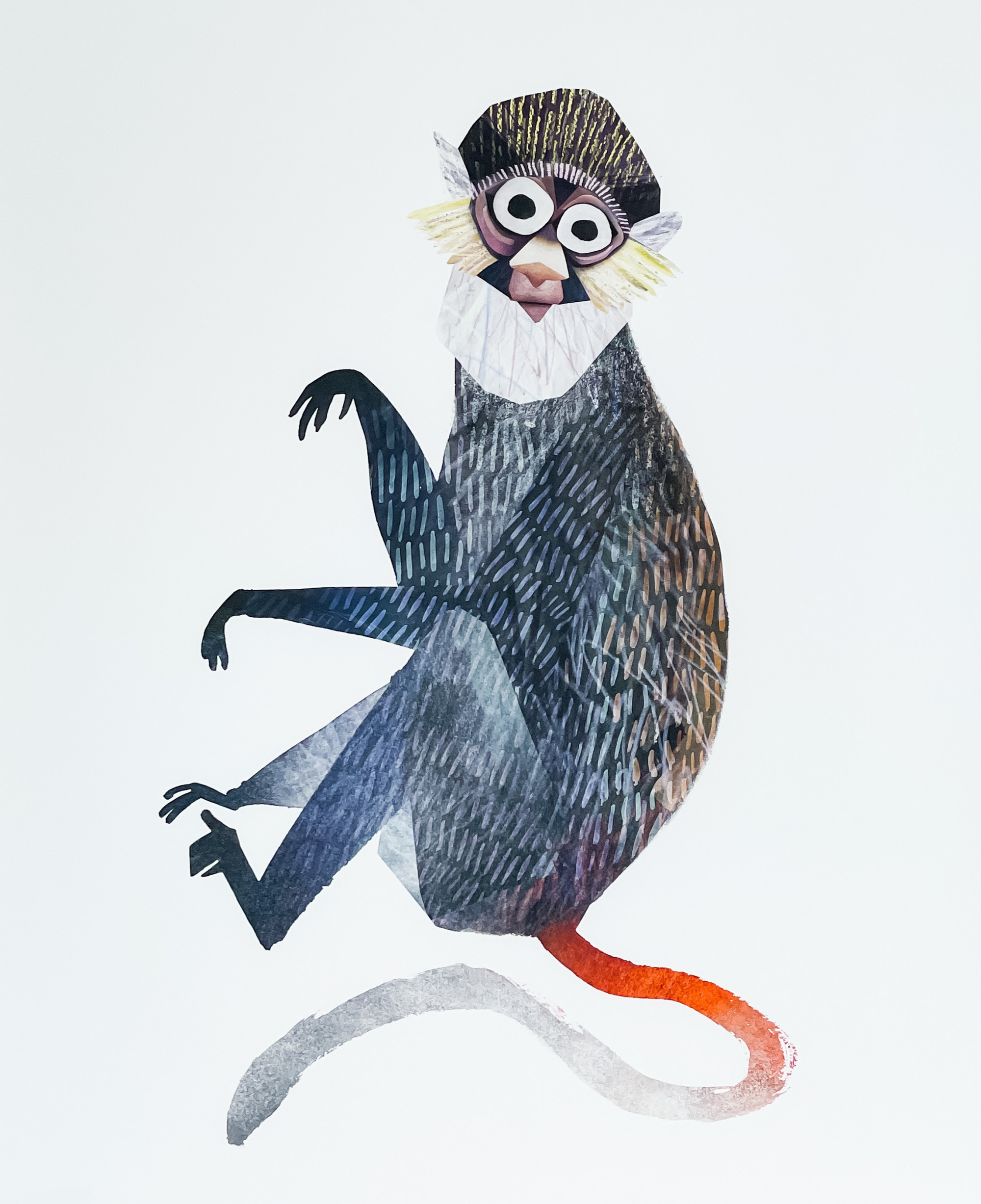 Brendan Wenzel | Sclater's Guenon | MutualArt