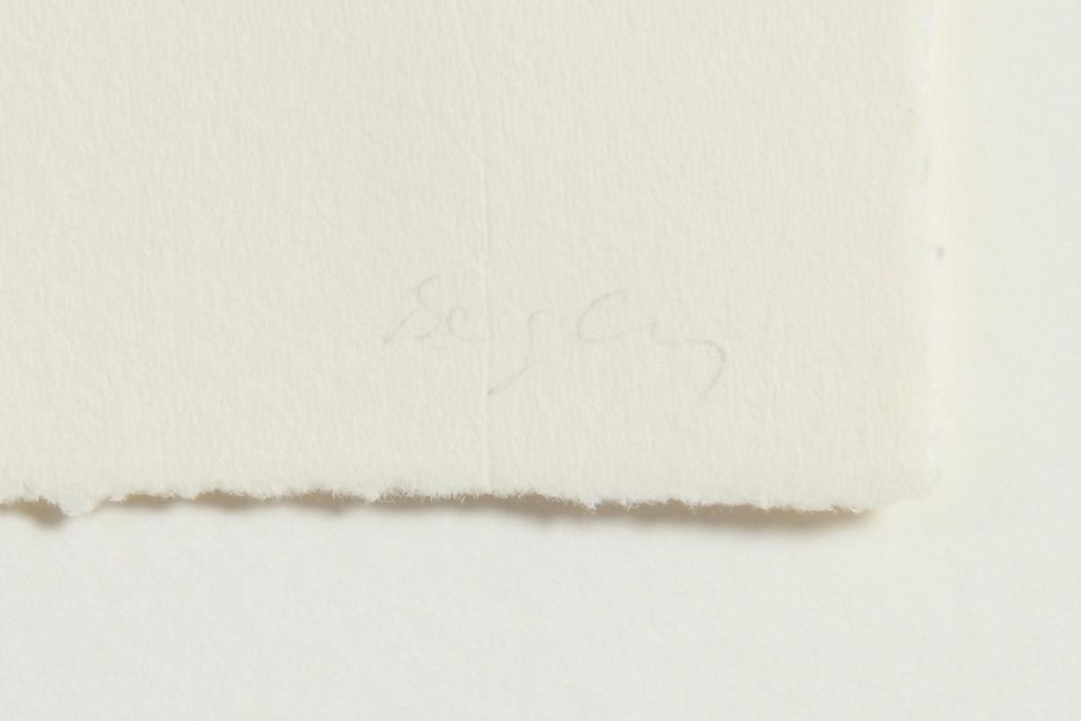 David Begley | And They Were Drawn to The Light About His Head | MutualArt