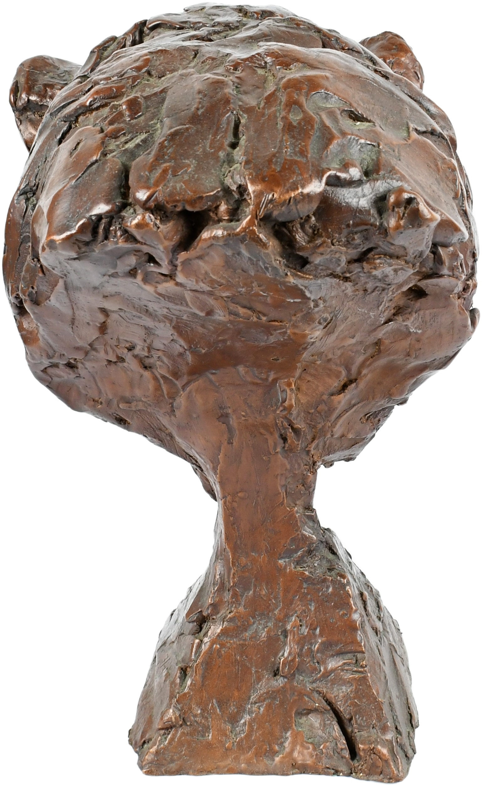 Mark Coreth | Leopard Bust | MutualArt