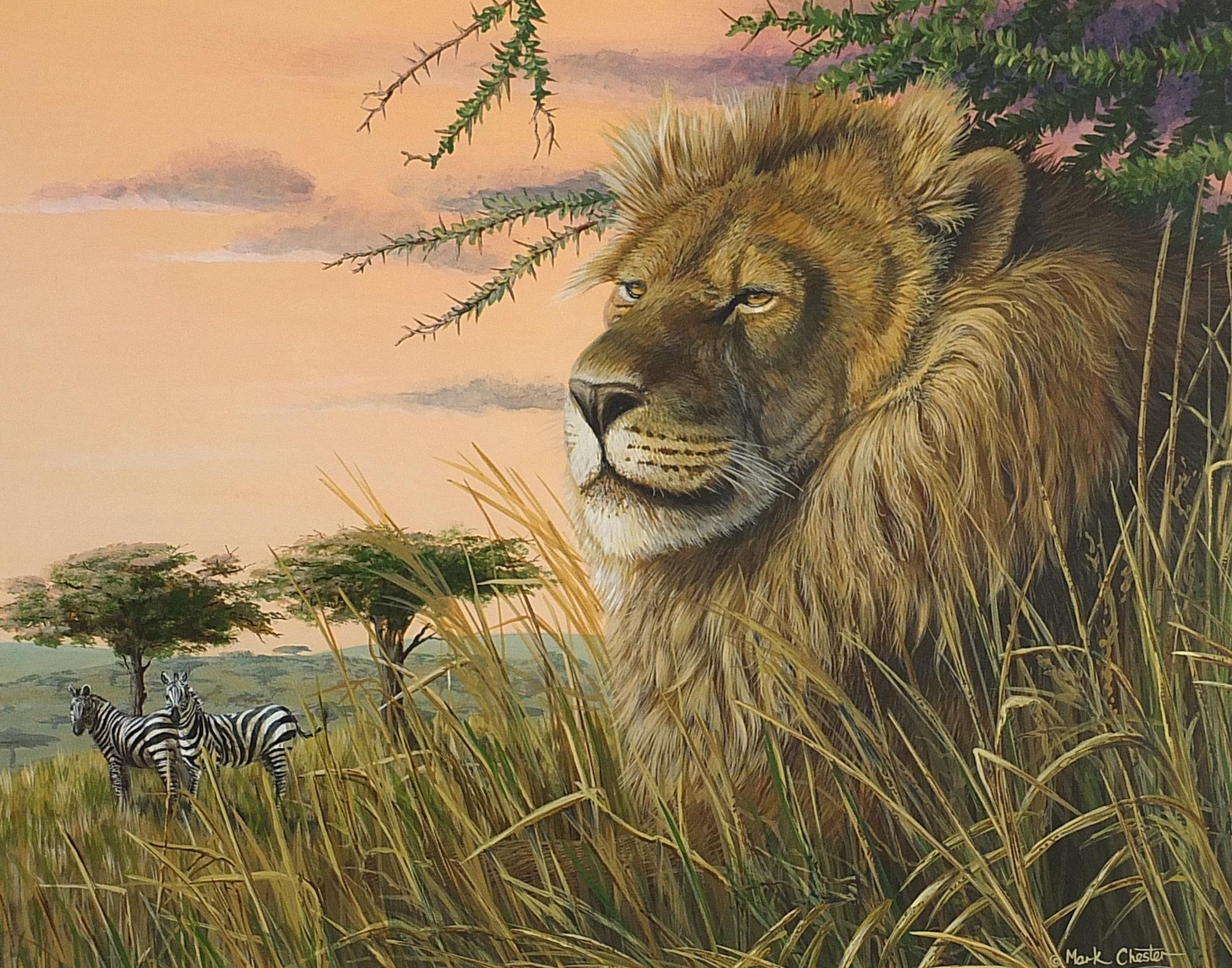 Mark Chester | Lion before two zebras | MutualArt
