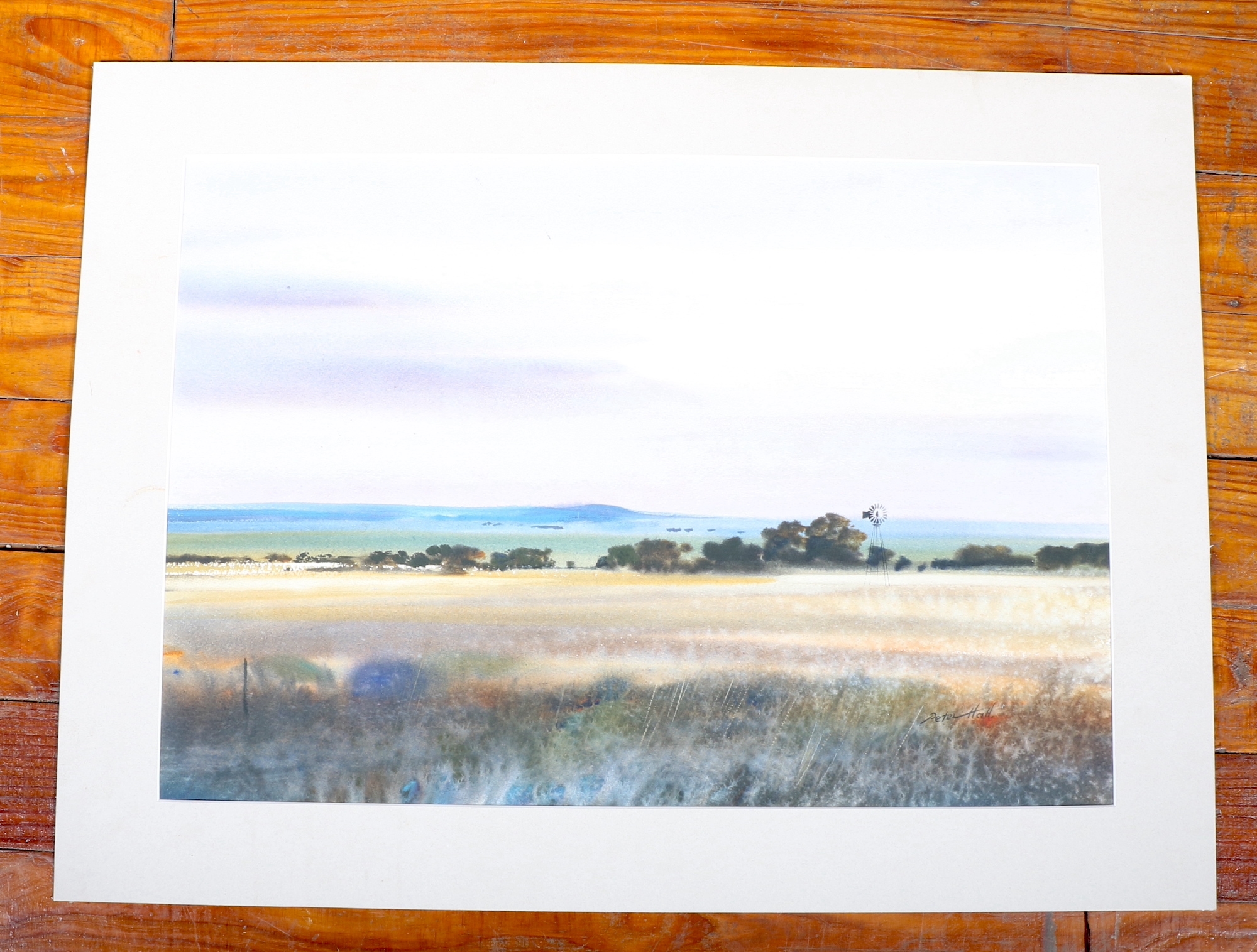 Peter Hall | FARMSCAPE WITH WINDMILL | MutualArt