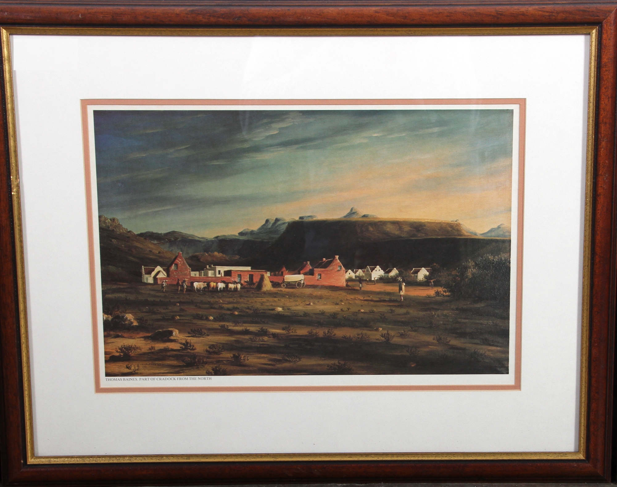 Thomas Baines | SCENES FROM SOUTH AFRICA | MutualArt