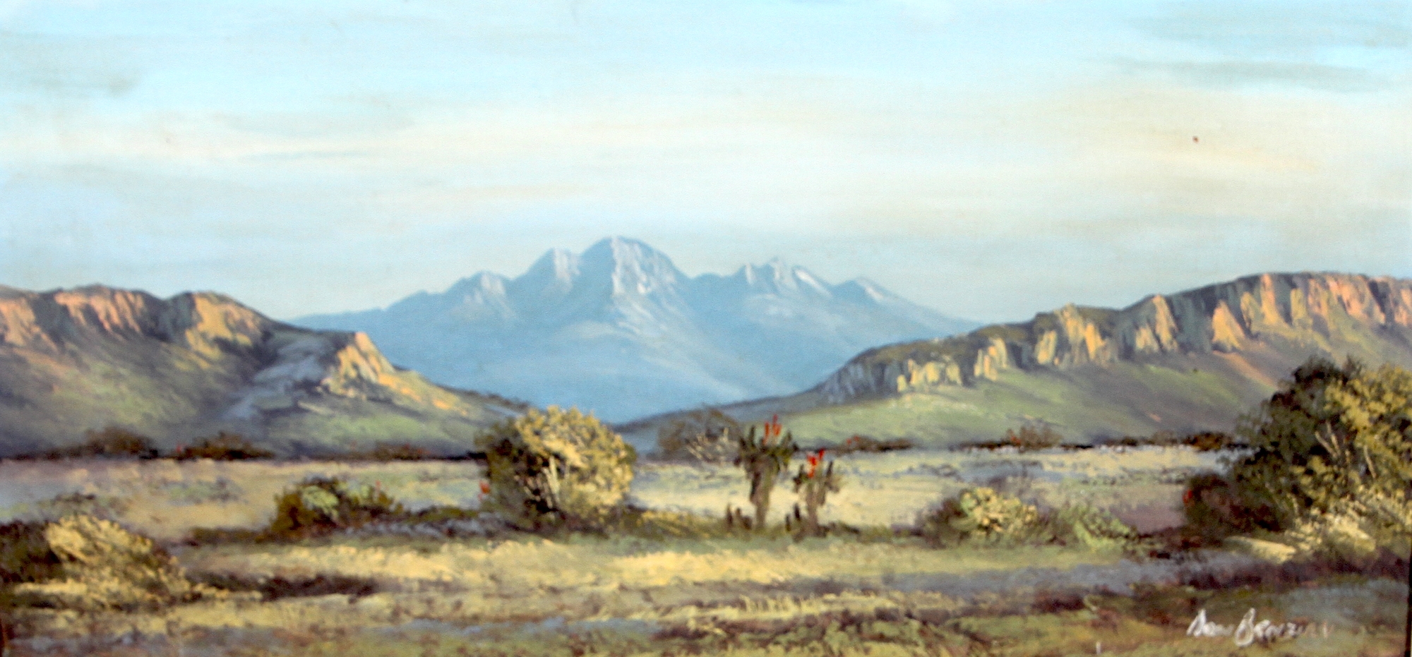 Don Benzien | ALOES IN THE LANDSCAPE | MutualArt