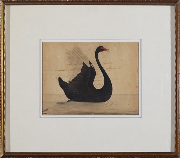 Port Jackson | BLACK SWAN | MutualArt