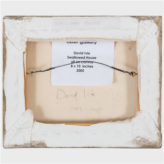 David Ivie | Swallowed House (2003 - 2005) | MutualArt
