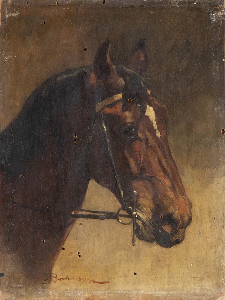 Giuseppe Barison | Horse head portrait | MutualArt