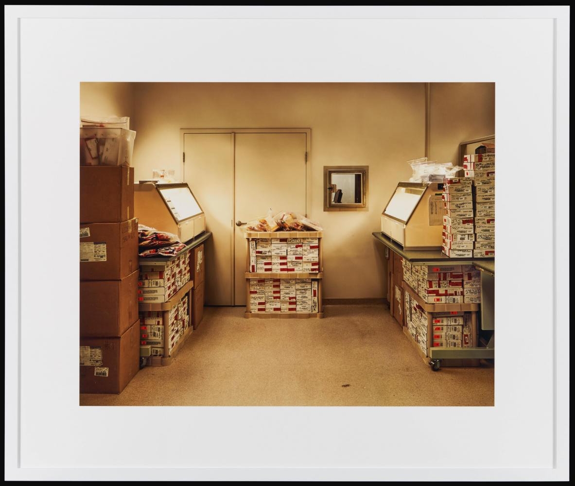 Taryn Simon | Sexual assault kits awaiting DNA analysis Bode Technology ...