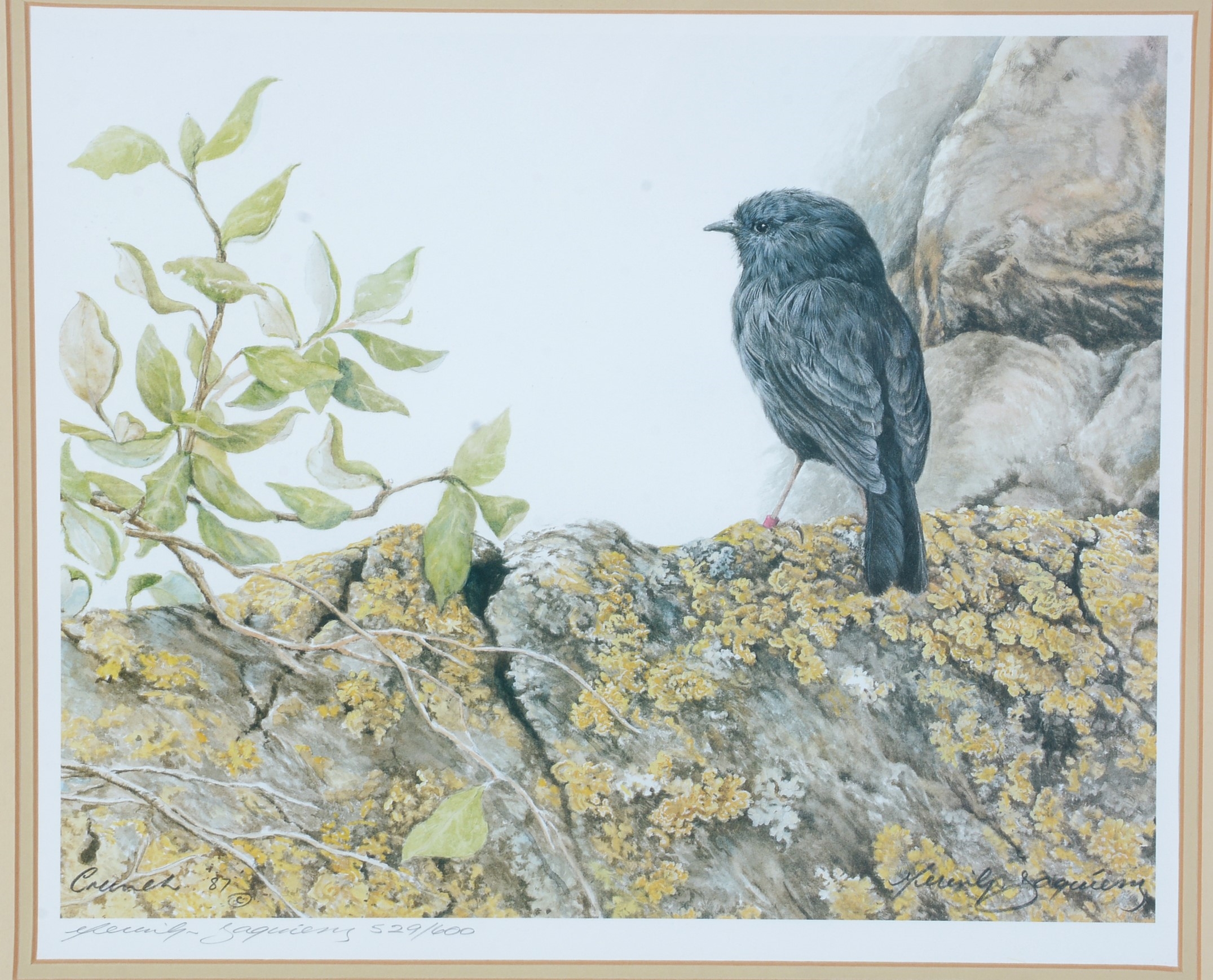 Merrilyn Jaquiery | A group of three bird studies | MutualArt