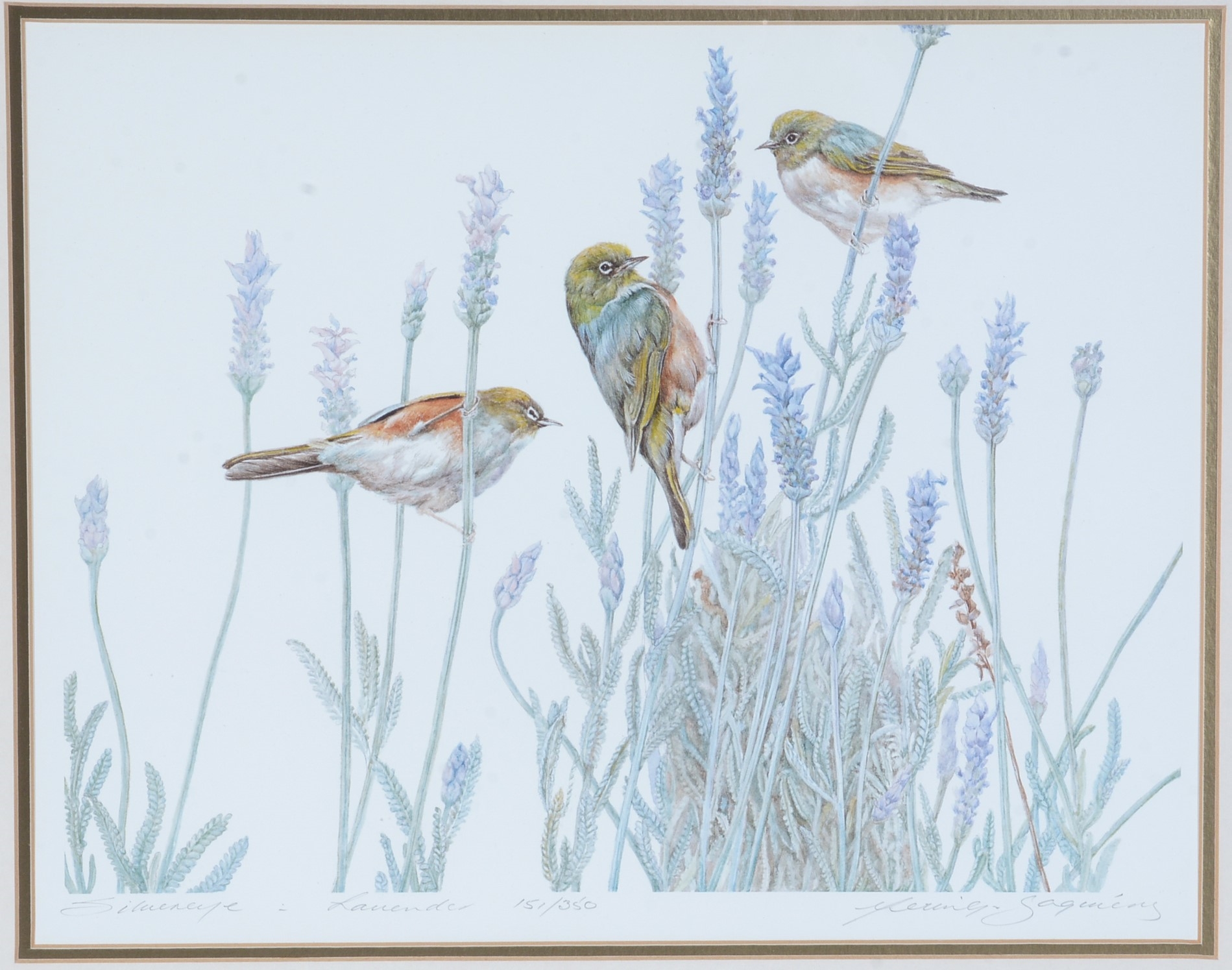 Merrilyn Jaquiery | A group of three bird studies | MutualArt
