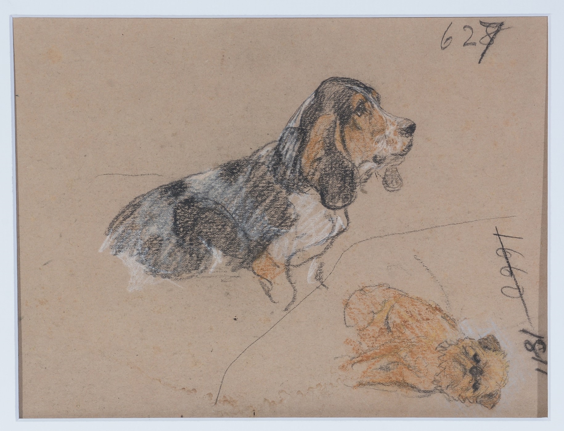 George Vernon Stokes | Double character study of a Basset Hound and a ...