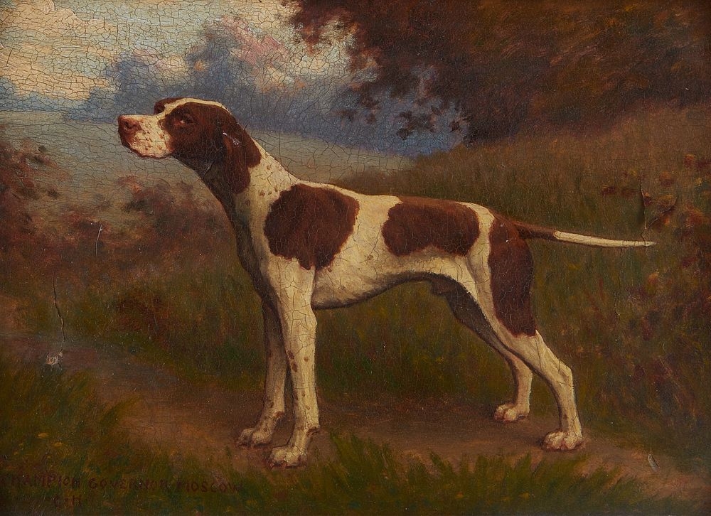 Charles Heberer | Brown and white spotted pointers in profile at a ...