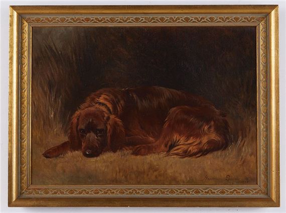 Hermann Simon | An Irish Setter curled on the grass, gazing up at the ...