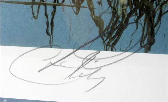 C. Ford Riley | North Florida Scene | MutualArt