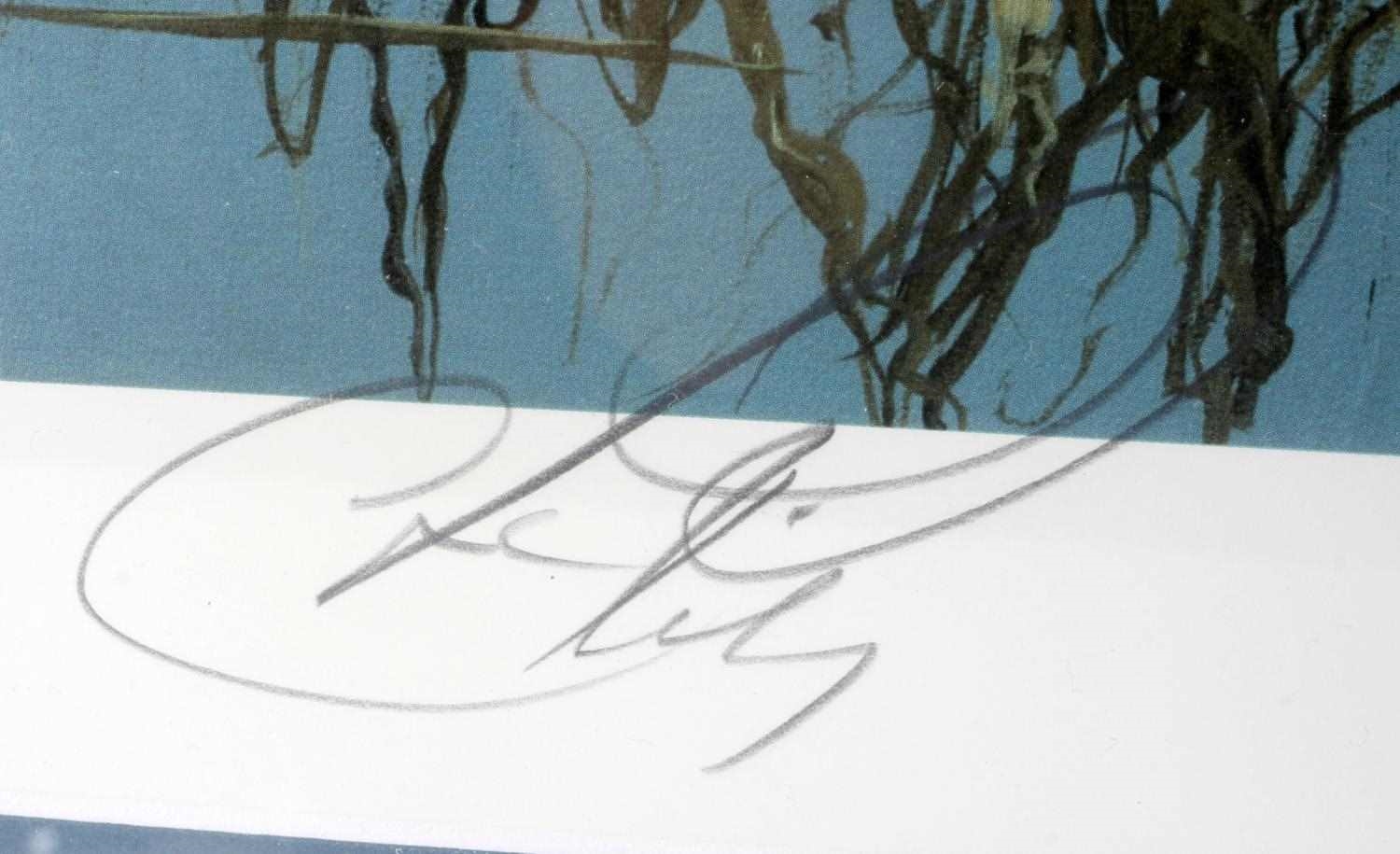 C. Ford Riley | North Florida Scene | MutualArt