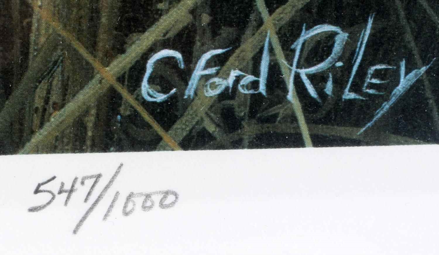 C. Ford Riley | North Florida Scene | MutualArt