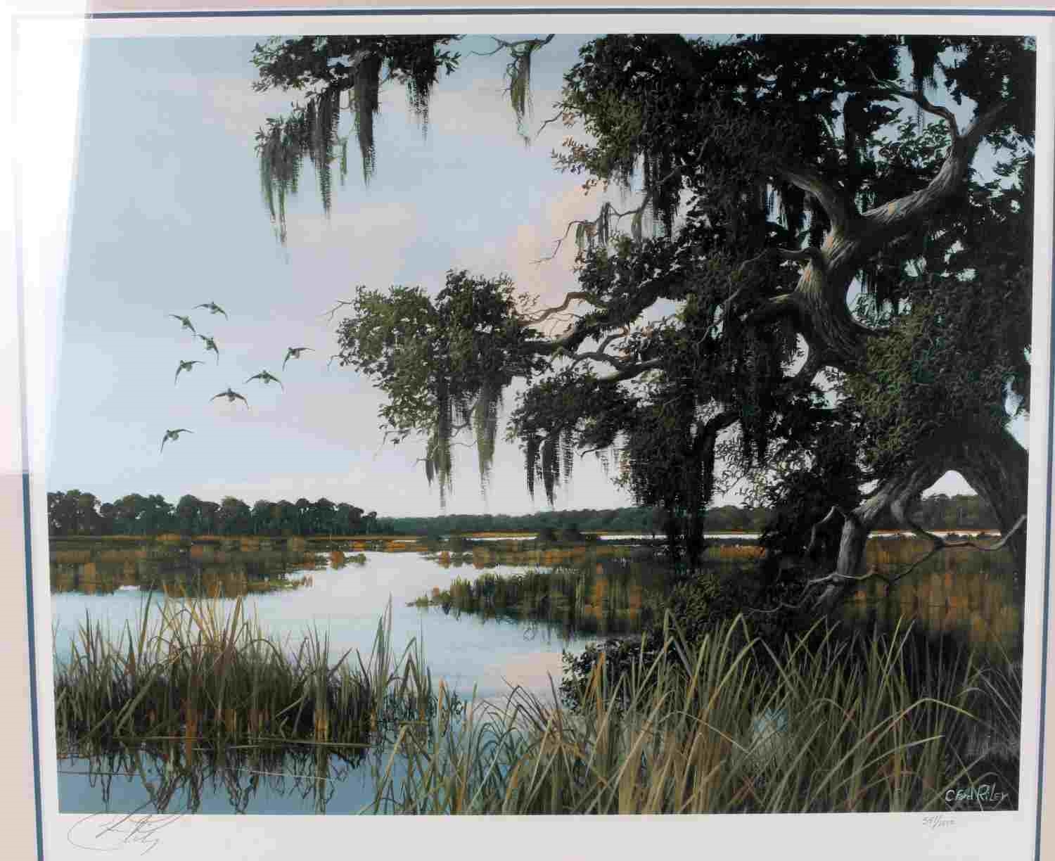 C. Ford Riley | North Florida Scene | MutualArt