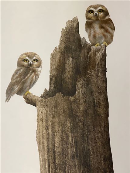 J Wayne Bystrom | Saw- Whet Owls (1984) | MutualArt