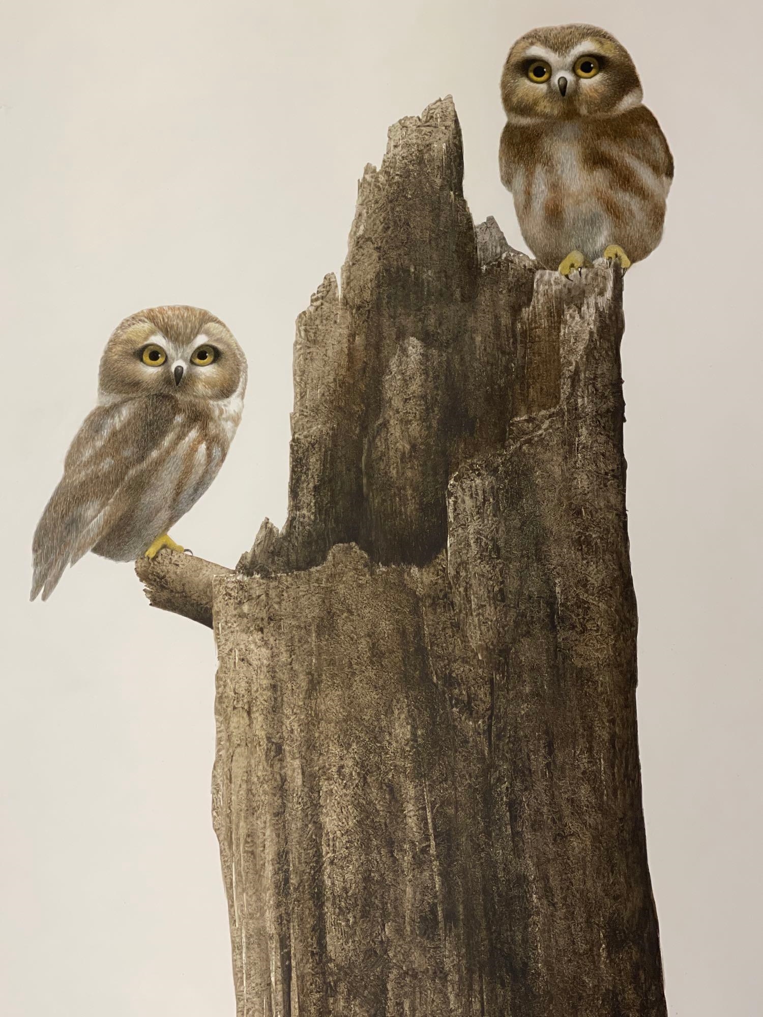 J Wayne Bystrom | Saw- Whet Owls (1984) | MutualArt
