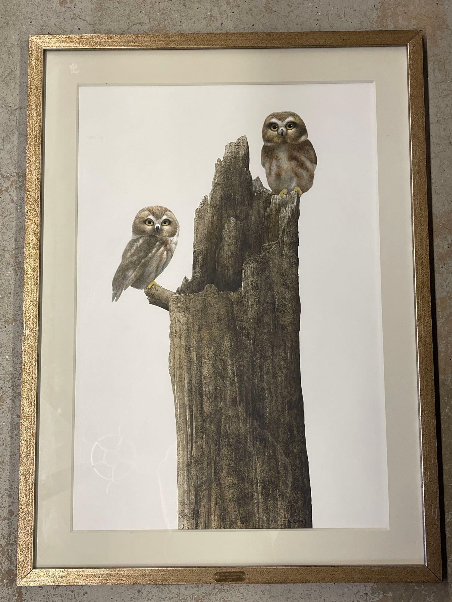 J Wayne Bystrom | Saw- Whet Owls (1984) | MutualArt