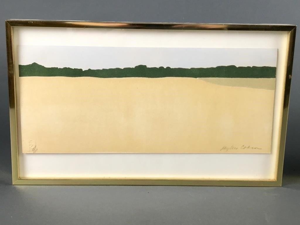 Phyllis Cohen | Abstract landscape | MutualArt