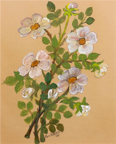 Ann Harbuz | Primroses (1988) | MutualArt