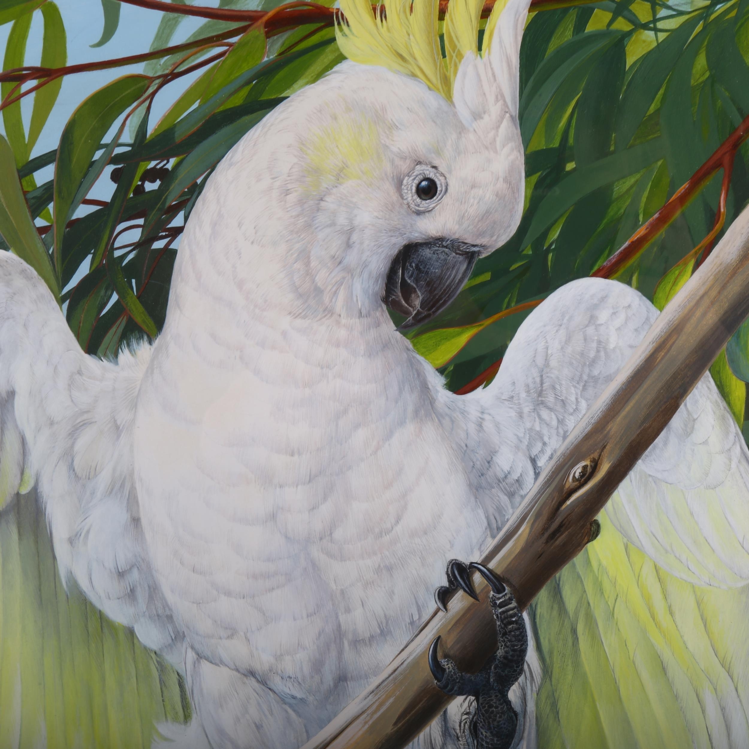 James Renny | sulphur crested cockatoo (1990) | MutualArt