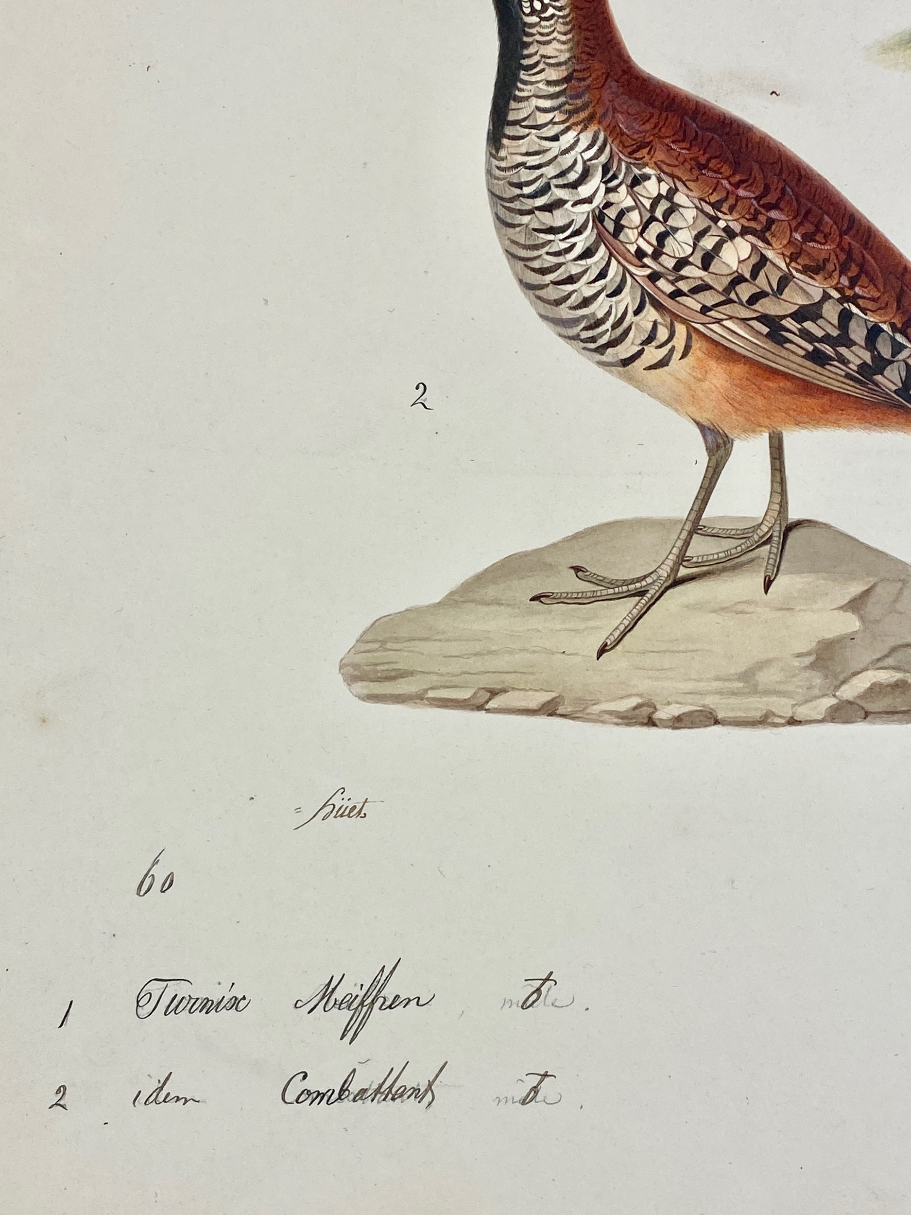 Nicolas II Huet | Pair of Original Drawnings | MutualArt