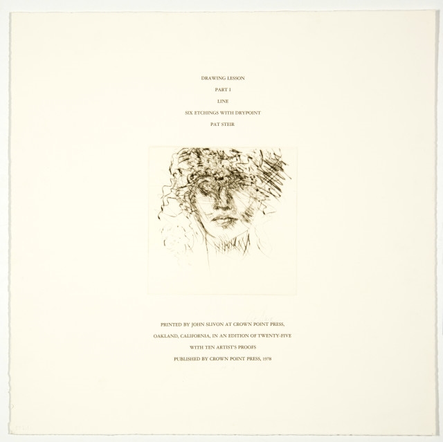 Pat Steir | Drawing Lesson Part I - Line (1978) | MutualArt