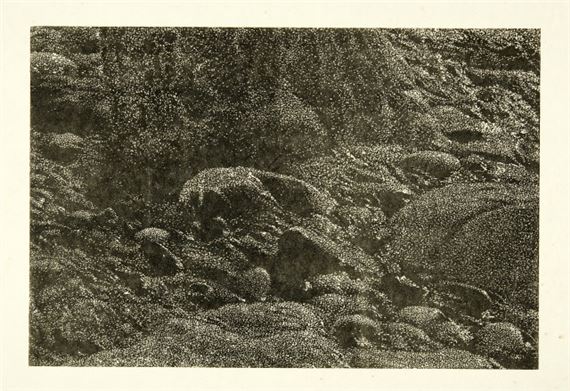 Franz Gertsch | Cima del Mar (1992) | MutualArt