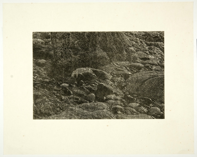 Franz Gertsch | Cima del Mar (1992) | MutualArt